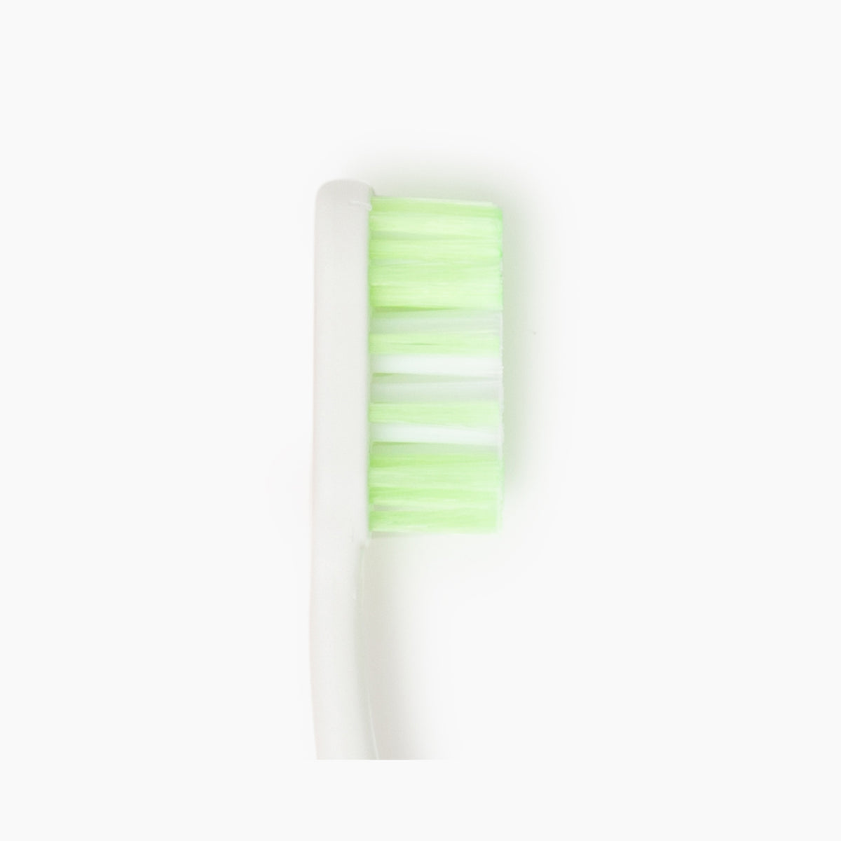 Intercept Toothbrush (12 pc) – Pearl Oral Care